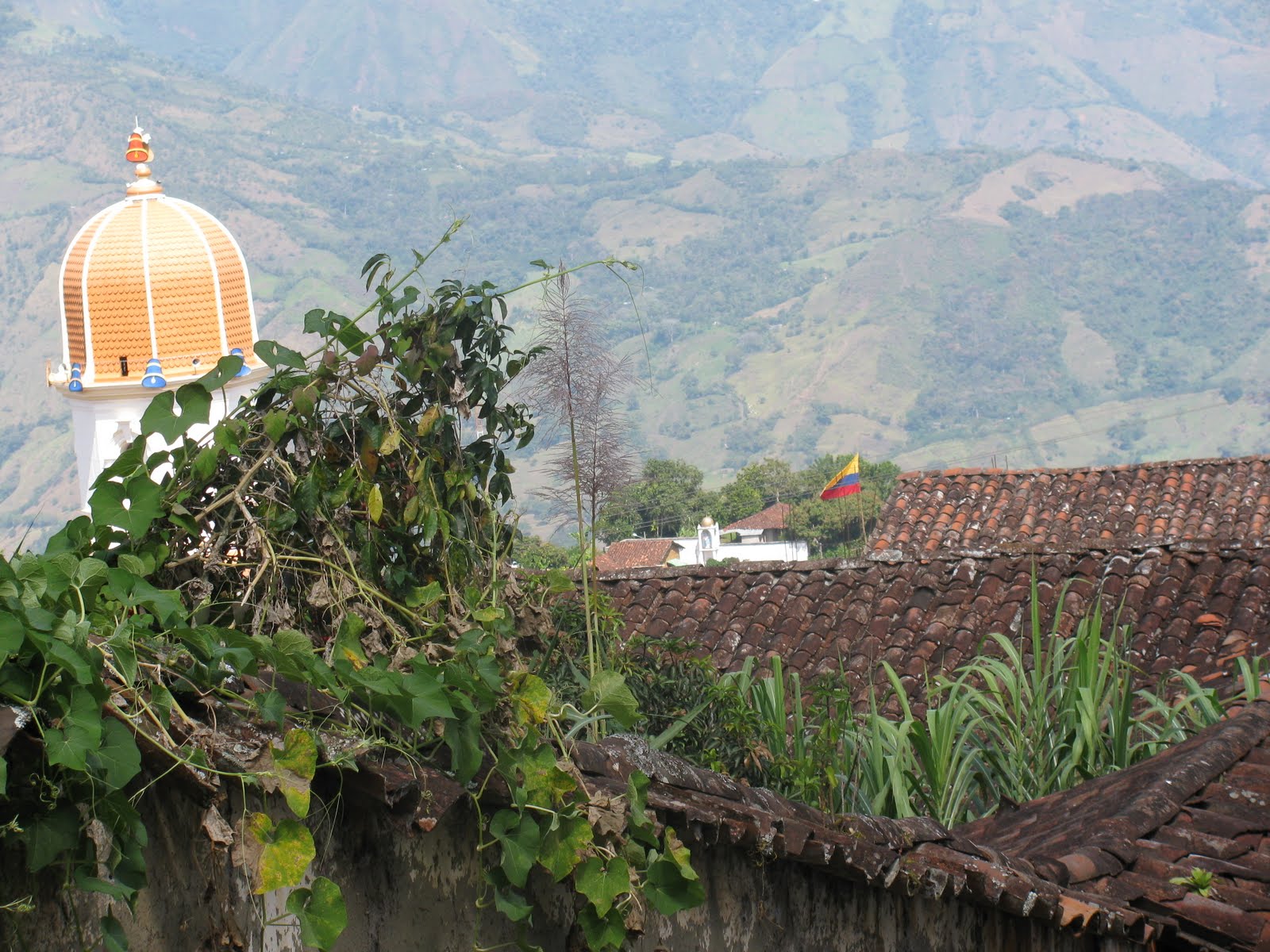 CORPORACIÓN COLONIA DE ITUANGO EN MEDELLÍN: UN RECORRIDO POR LAS CALLES ...