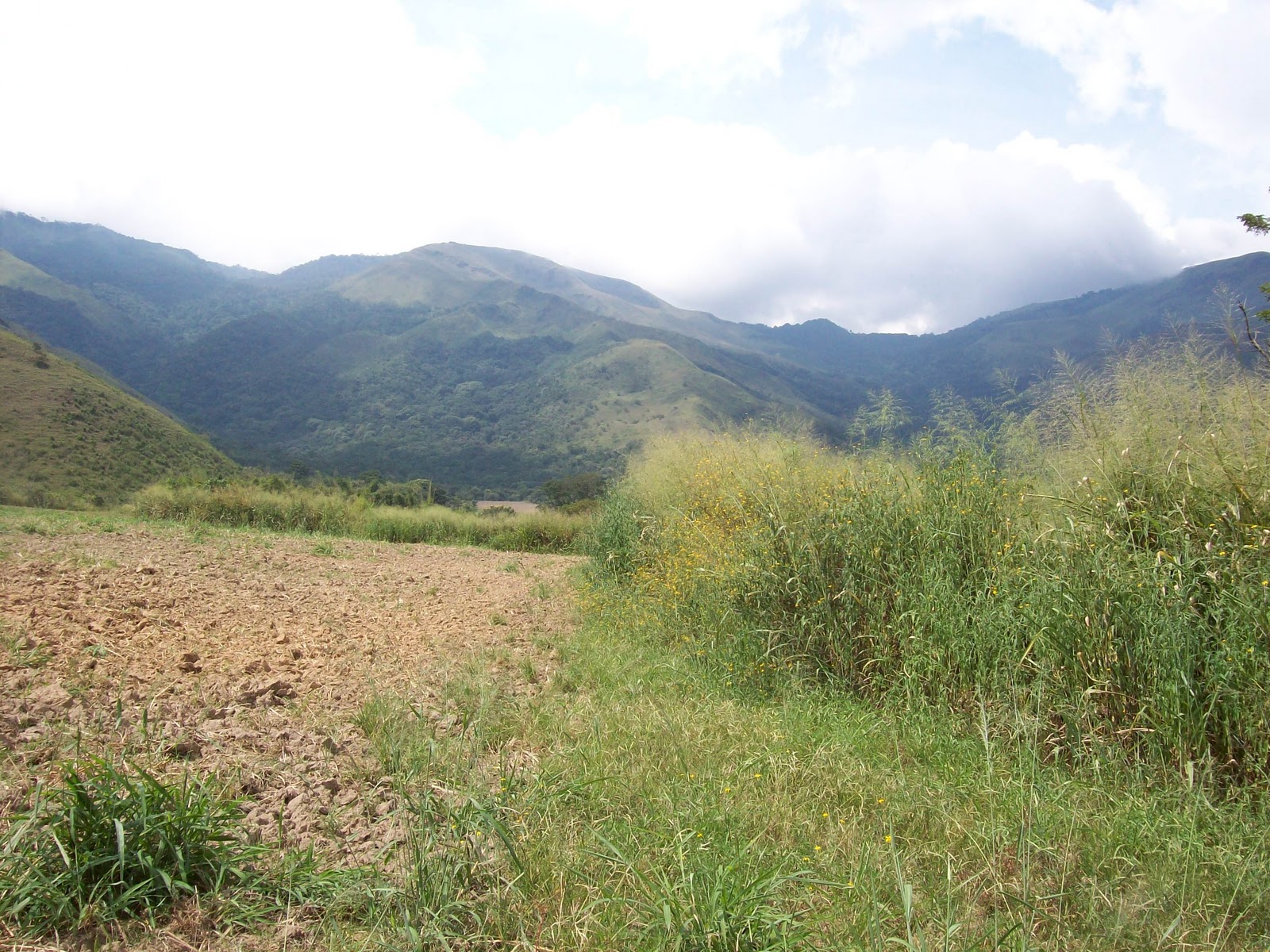 Escuela Paramaconi en los Valles Altos de Carabobo: Taller V Exposición ...