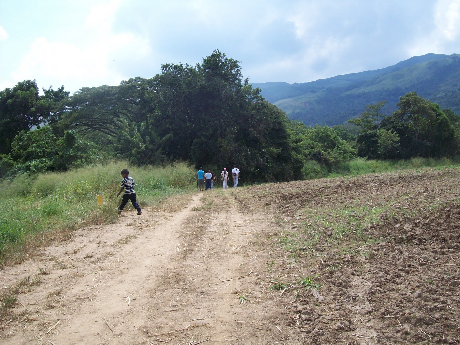 Escuela Paramaconi en los Valles Altos de Carabobo: Taller V Exposición ...