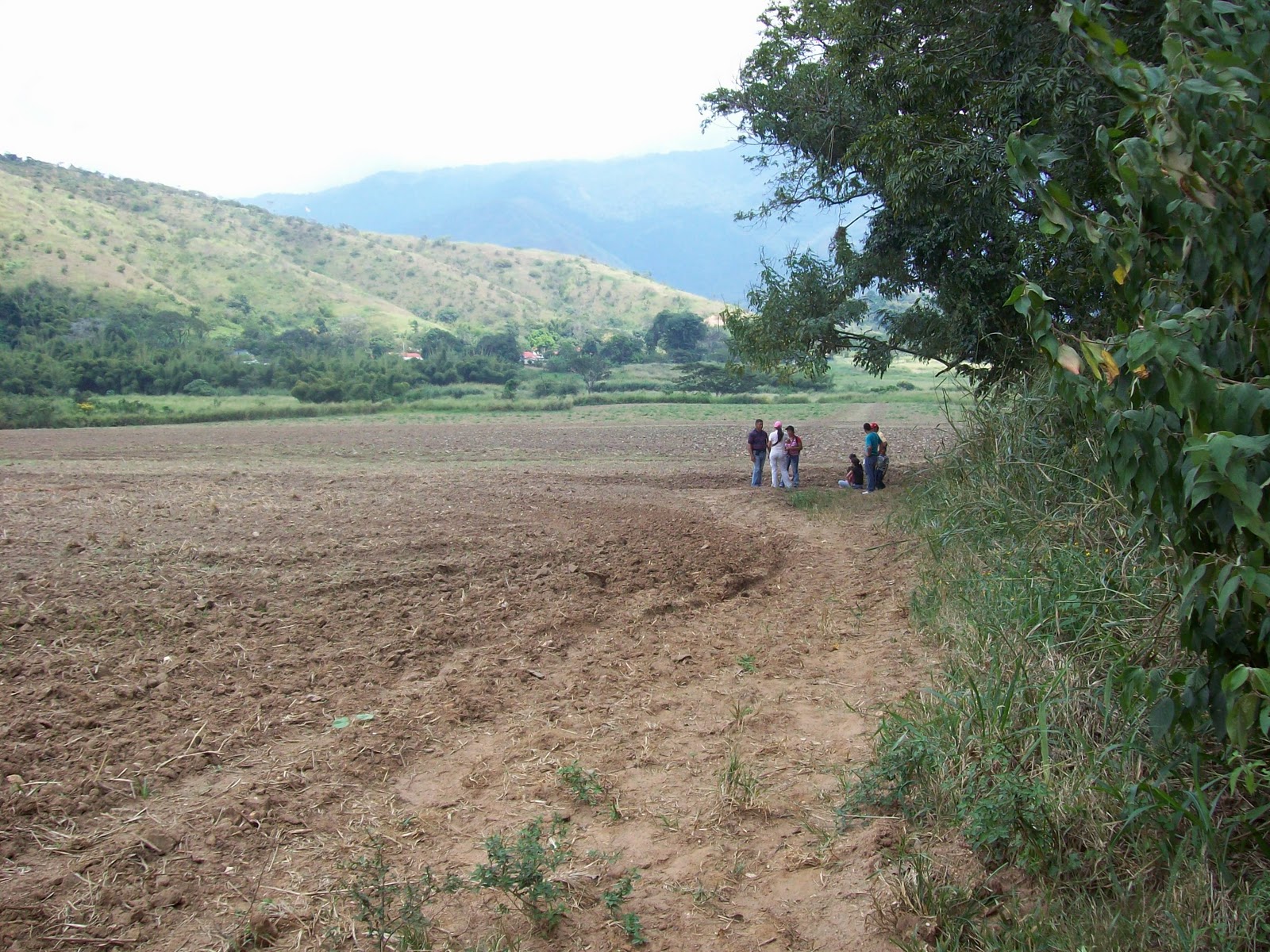 Escuela Paramaconi en los Valles Altos de Carabobo: Taller V Exposición ...