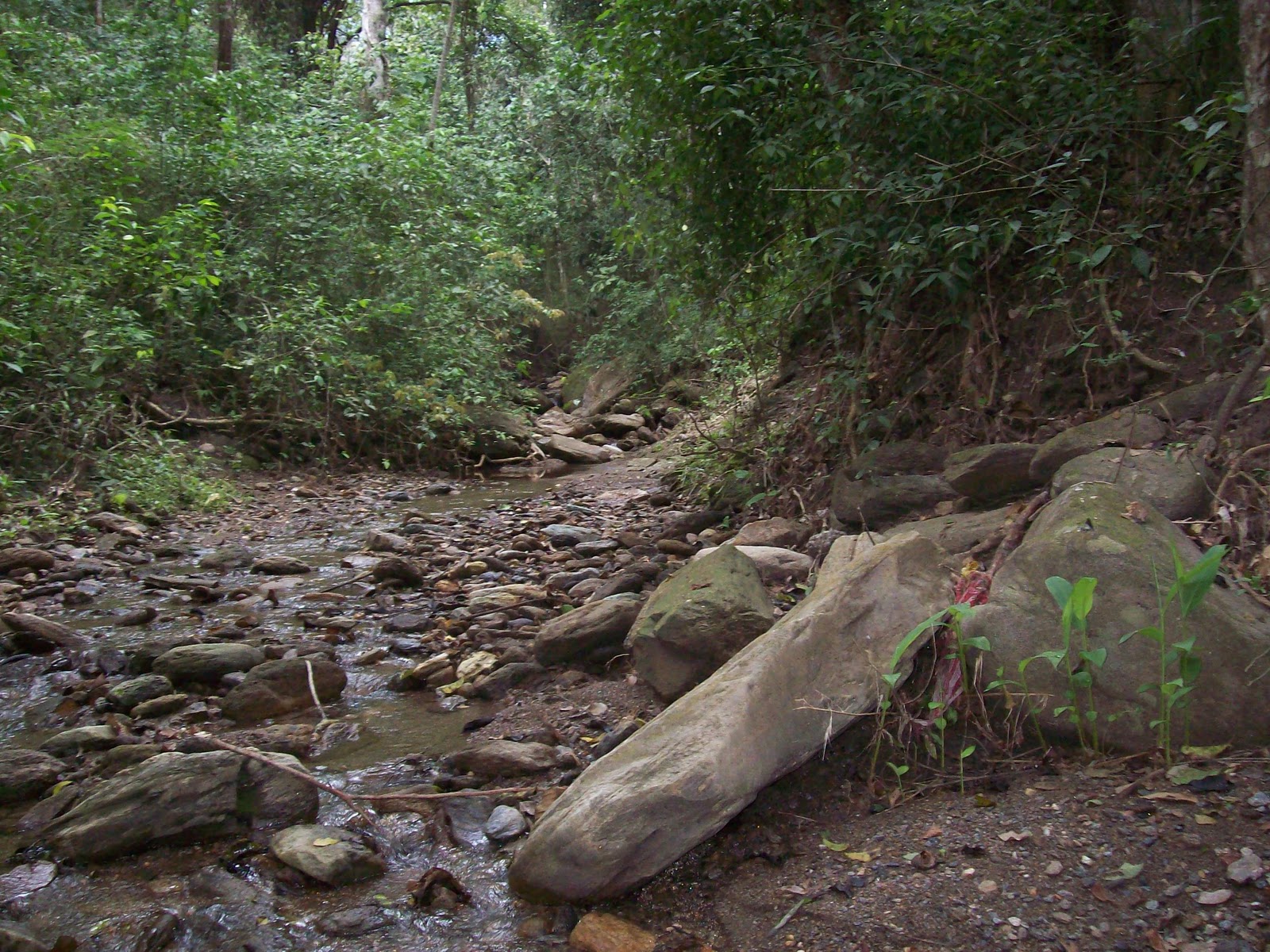 Escuela Paramaconi en los Valles Altos de Carabobo: Taller V Exposición ...