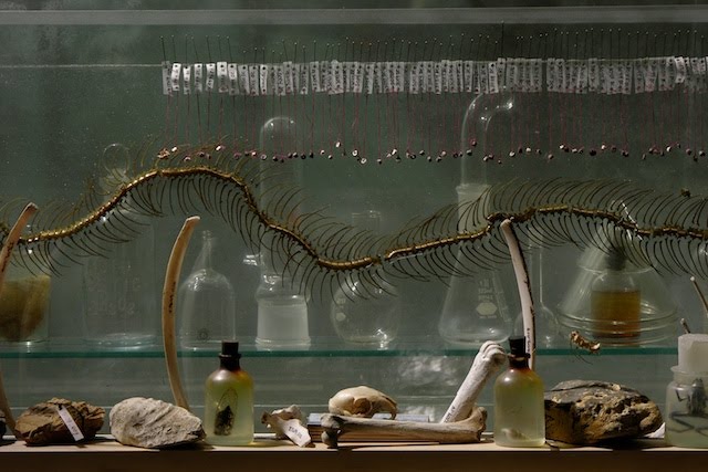 Visual Culture and Evolution: An Online Discussion: 4/11: Visual ...