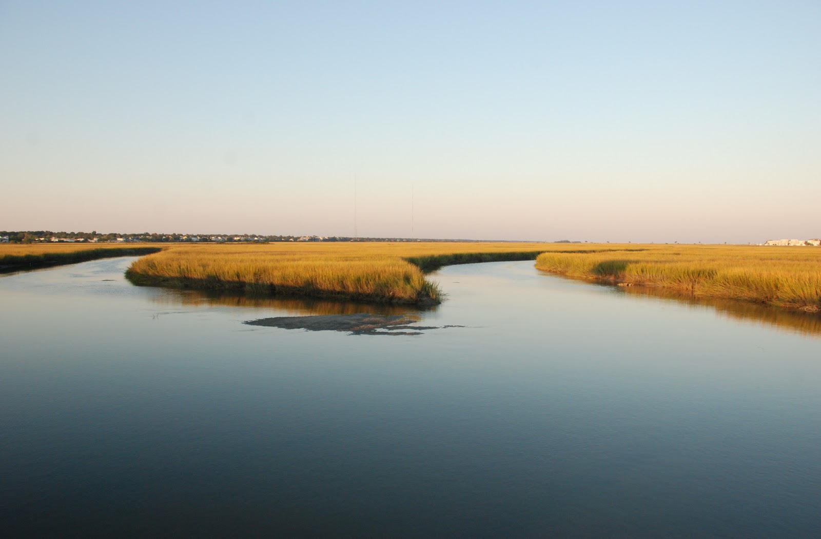The Robinson's Life: Pitt Street Bridge
