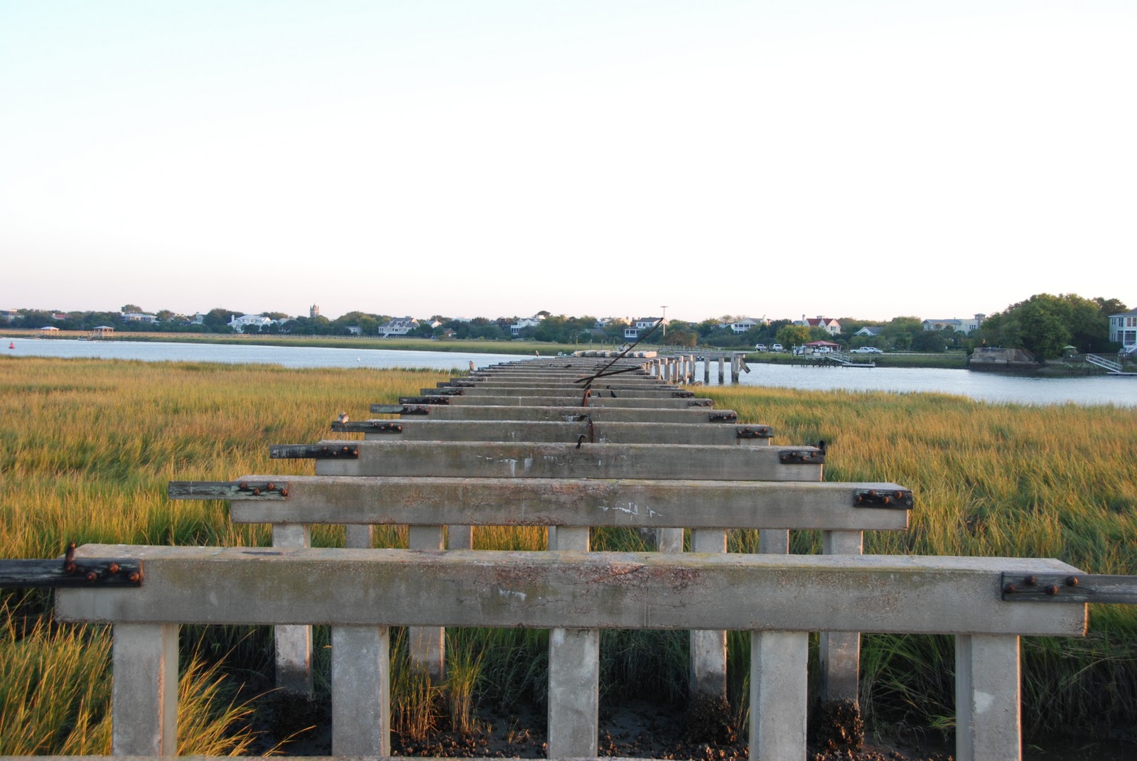 The Robinson's Life: Pitt Street Bridge