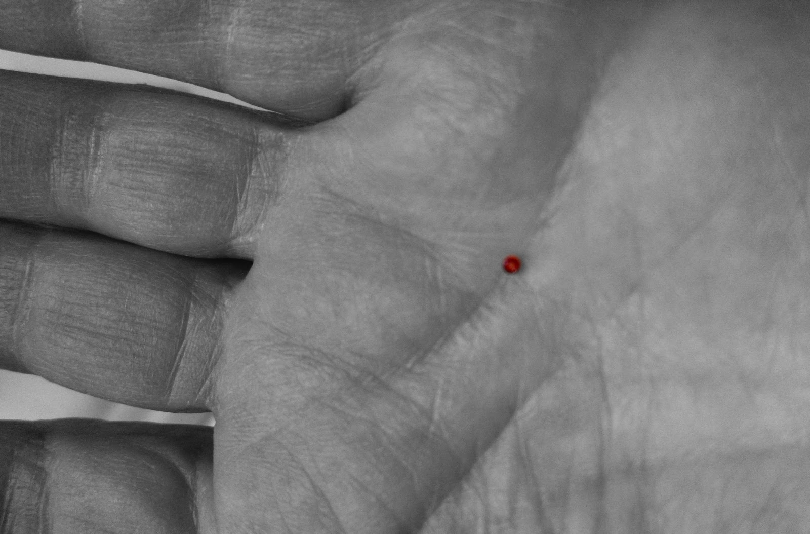 tat-ology: December 2010