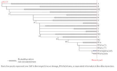 Leherensuge: Timeline of human Y-DNA (1)