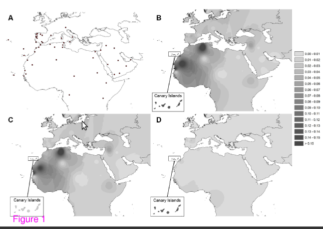 For what they were... we are: New paper on mtDNA U6