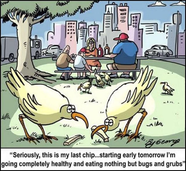 50 Funny Cartoons For Enjoyment | Weird Things, Weird Pictures, Photo Blog