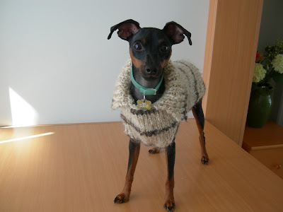 JOSSY - Hand-Knitted Dog Sweaters: 2009