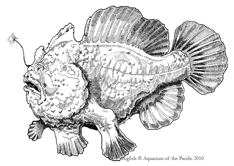 Changewinds' Ink: December 2010