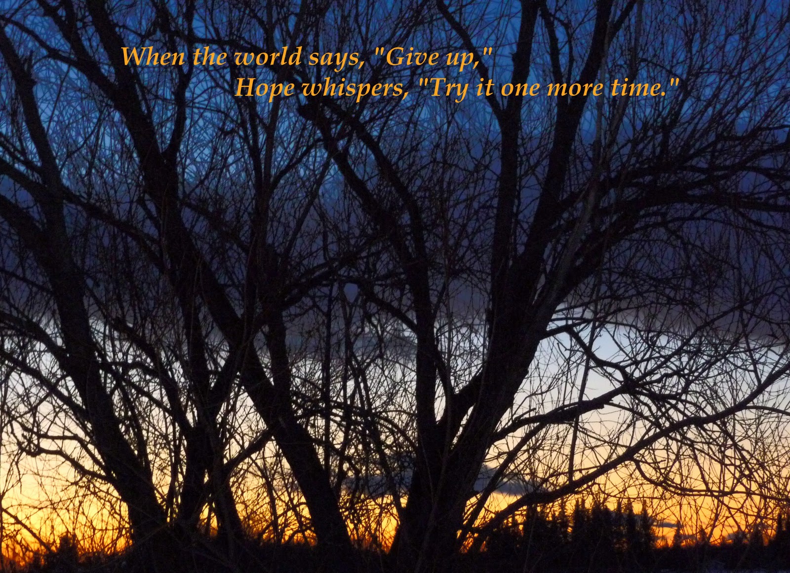 Kelsey Werstuik's photography: Theme- Open Theme ( Quotes and pictures)