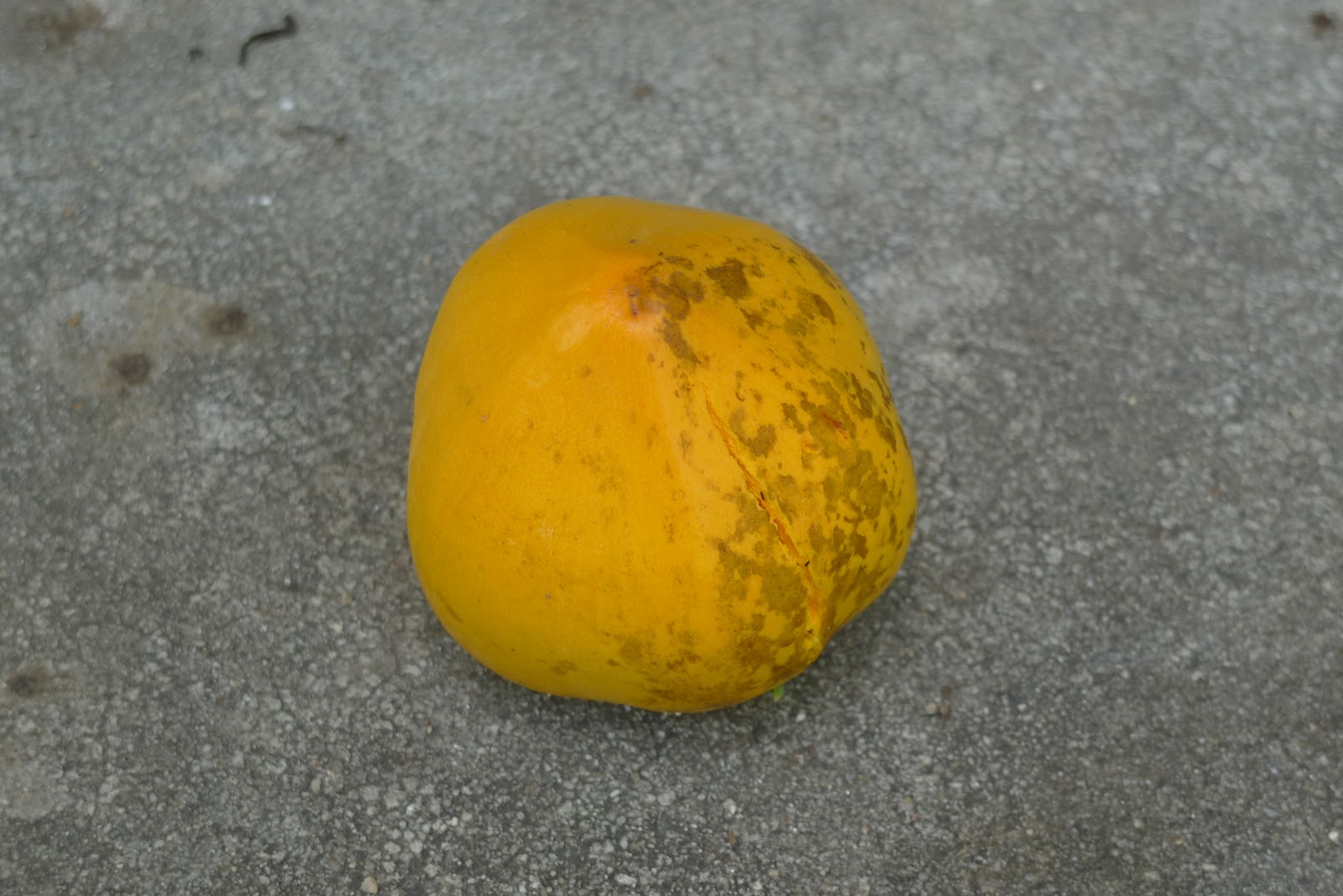 Dr. Fielder's Blog: Fruits of Our Labours