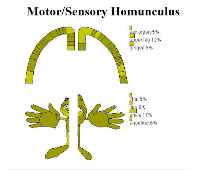Animal Pharm: Paleo, Muscles, Homunculus, and Natural Selection