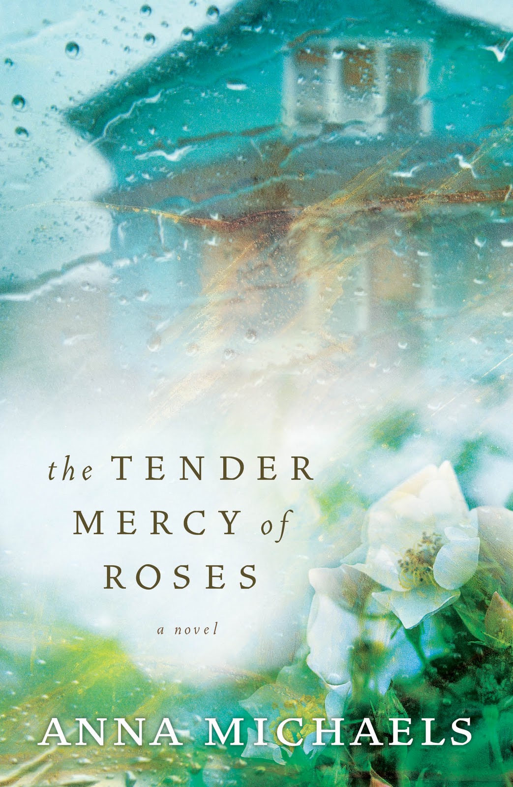 Janet Reid, Literary Agent: Books I'm looking forward to in 2011