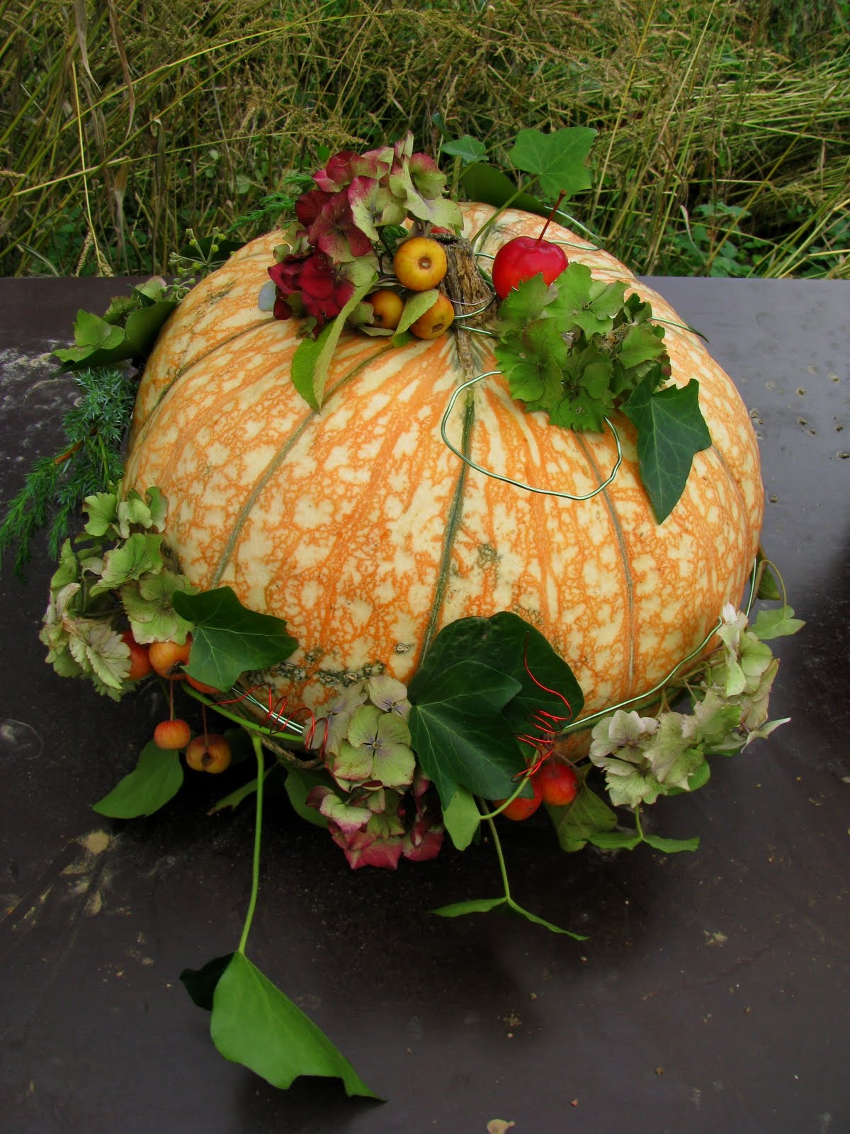 The Dirty Dance of The Bilot ... Partie II: Potiron, potimarron, courge ...