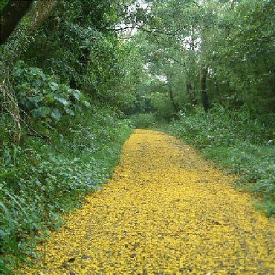 Spread The Yellow: Commitment