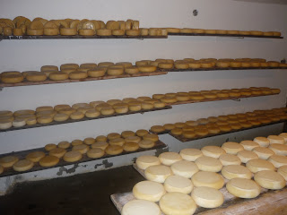 azienda agricola matteucci mauro