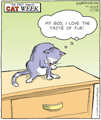 Curiosity killed the cat, Satisfaction brought it back: More Cat Funnies