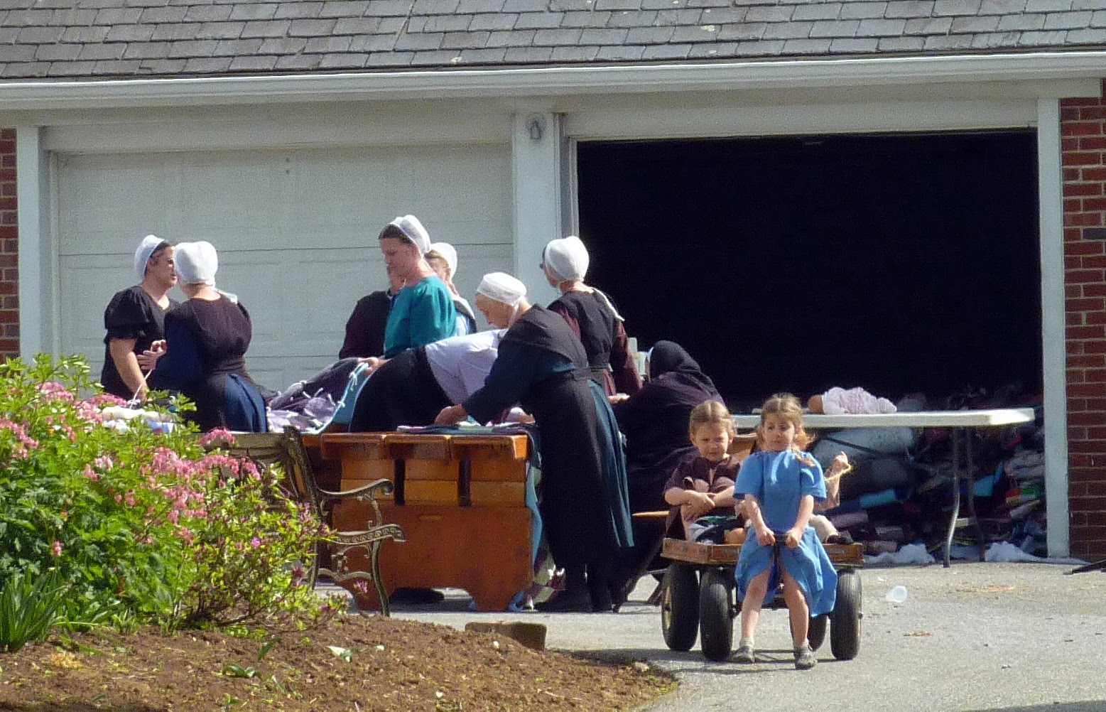 la tieta Rosa: día amish