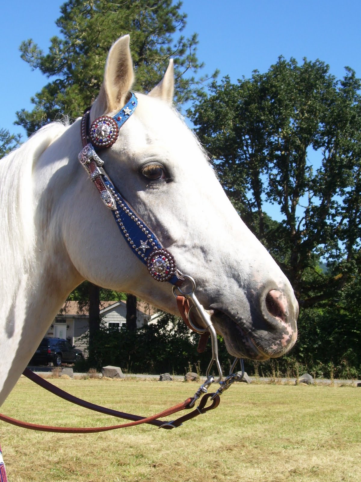 Miss Eugene Pro Rodeo: Mary Cole Days Parade