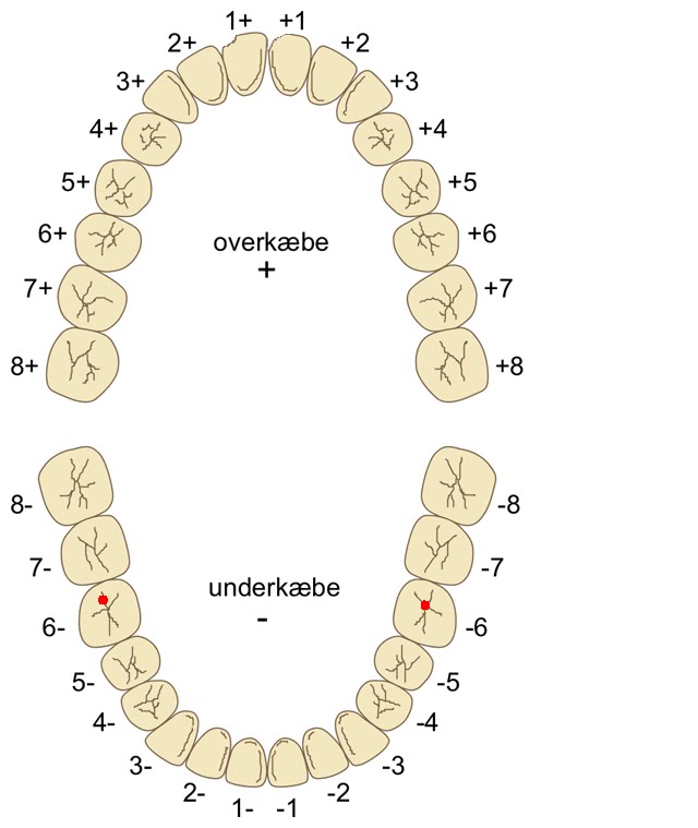 X + Y = JK: Mine tænder