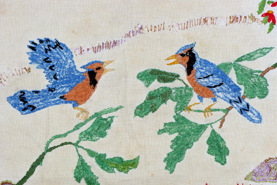 Live From the Surface of the Moon: Sing Robin Sing