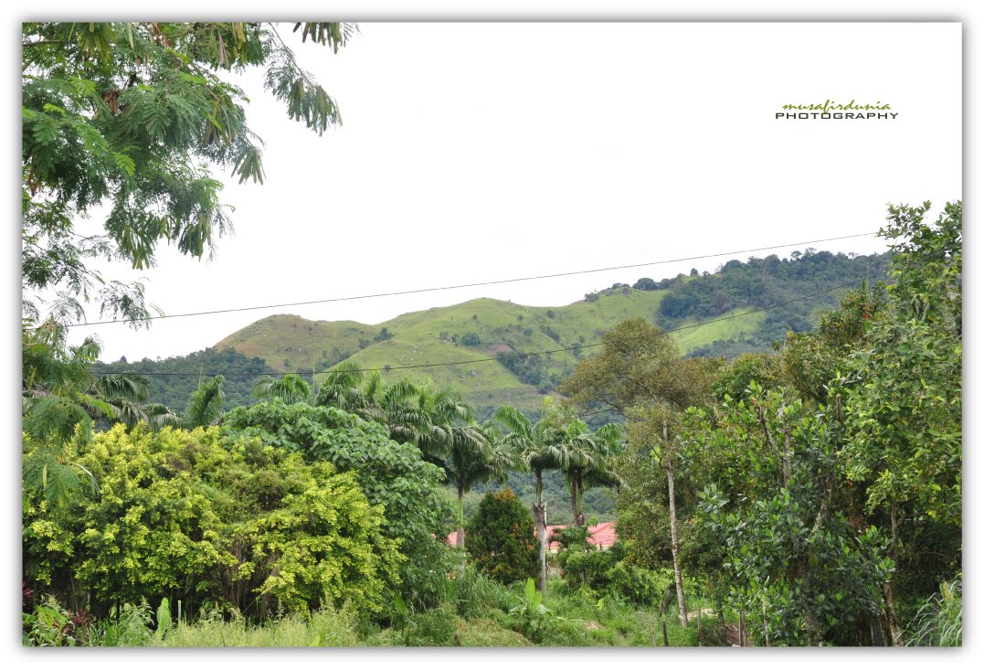- MUSAFIR DUNIA -: Bukit Broga