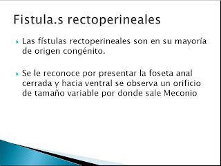 FISTULAS RECTOPERINEALES Y RECTOVAGINALES: FISTULAS RECTOPERINEALES Y ...
