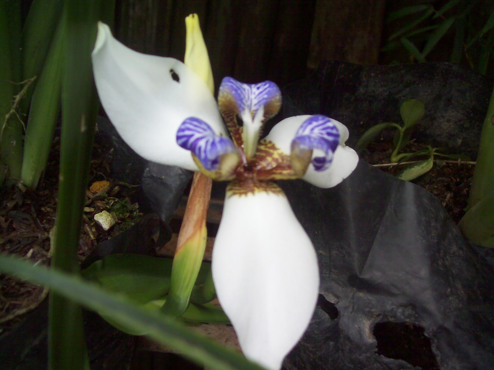 Write... Write... Write... :): Summer Capital of the Philippines #2