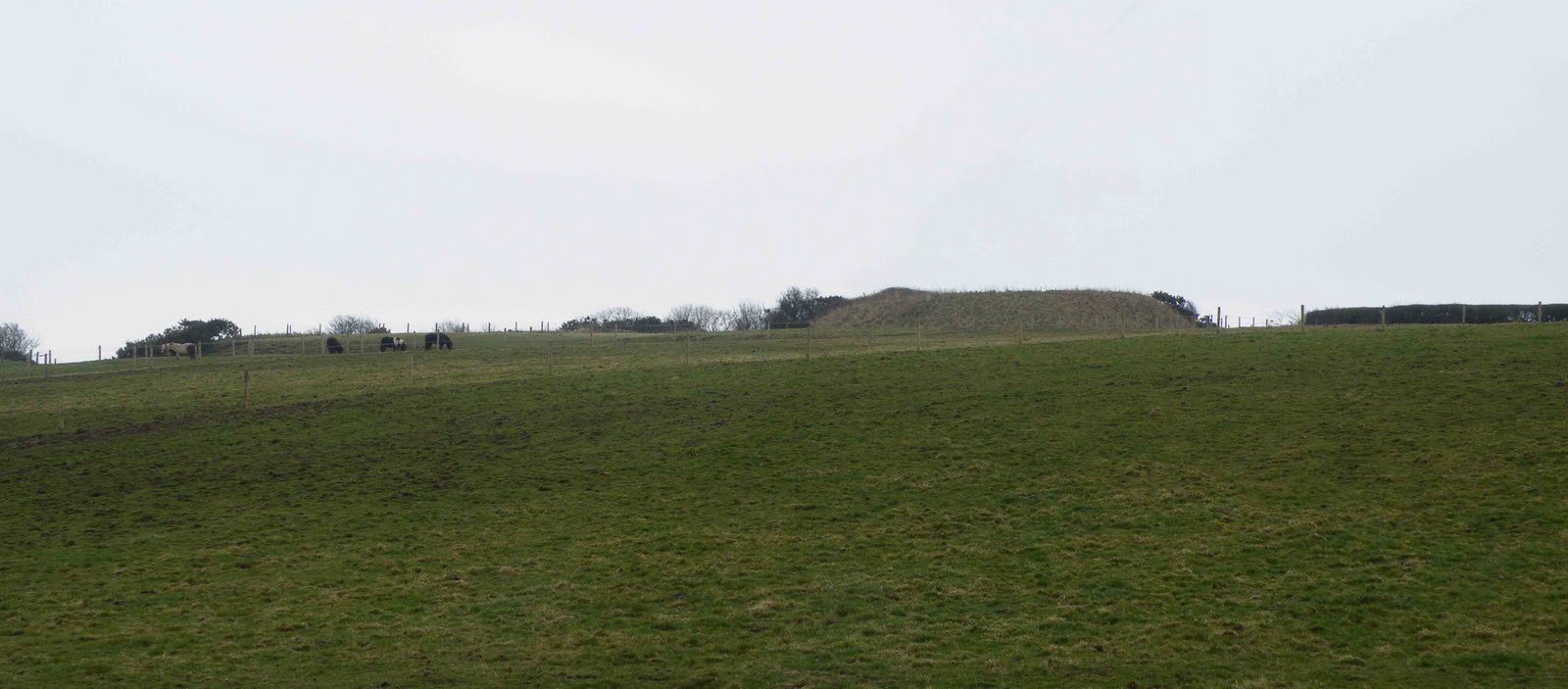 The castles, towers and fortified buildings of Cumbria: Aldingham Moat ...