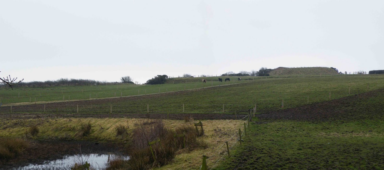 The castles, towers and fortified buildings of Cumbria: Aldingham Moat ...