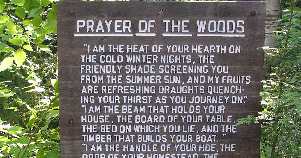 Building A Log Cabin: Prayer of the Woods