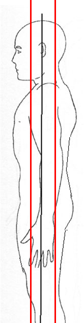 Anatomia: Cortes Anatomicos