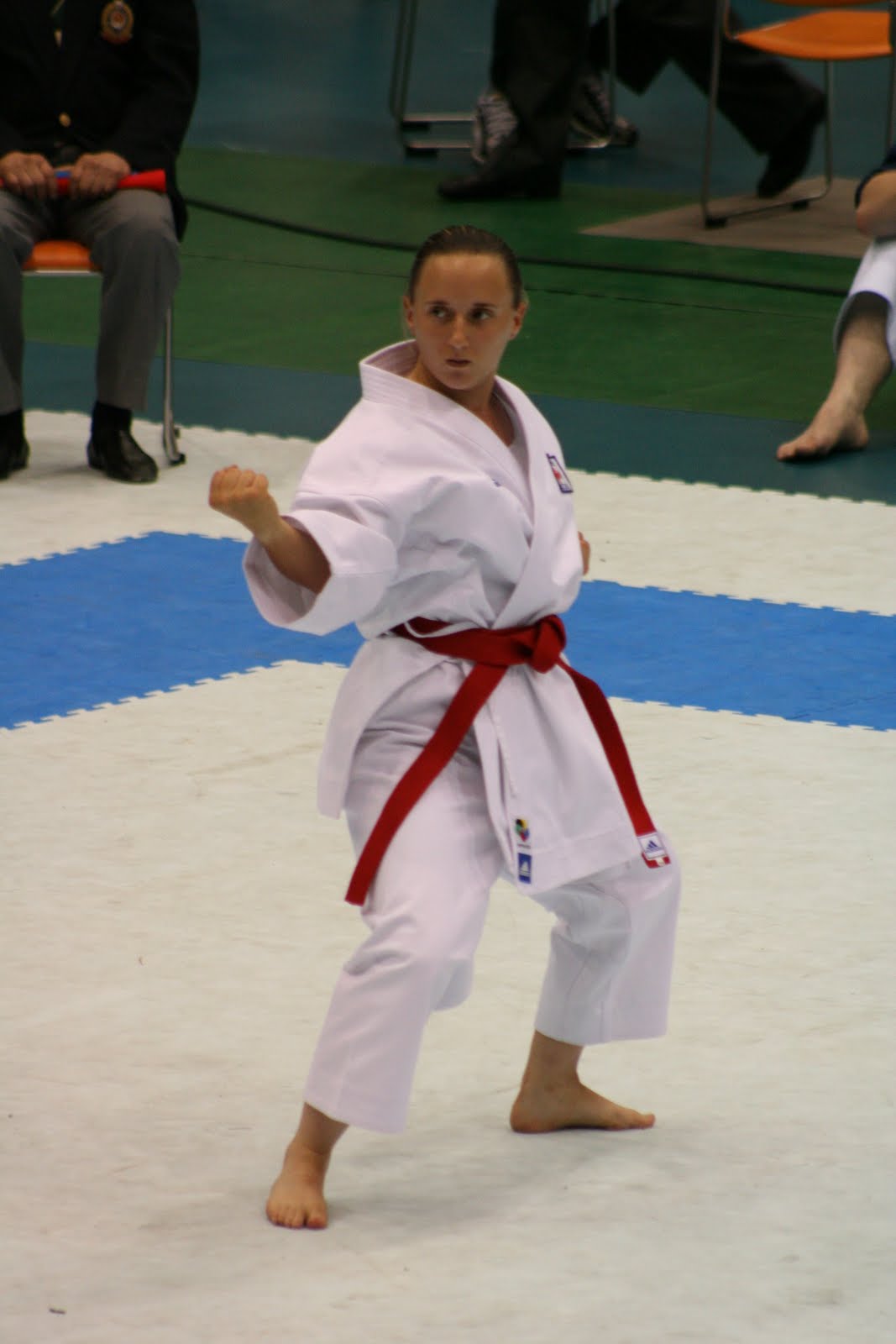 Shiramizu Japan Karate Dojo: Wado World Cup: Aichi Prefectural ...