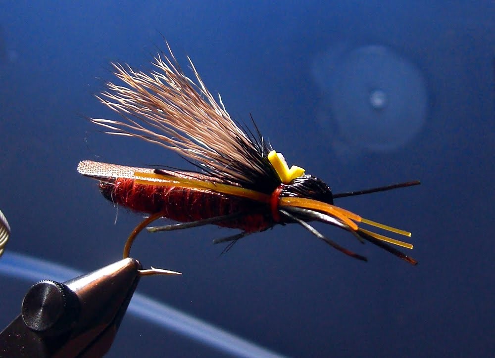 Fish Eat Flies: Salmonfly Adult