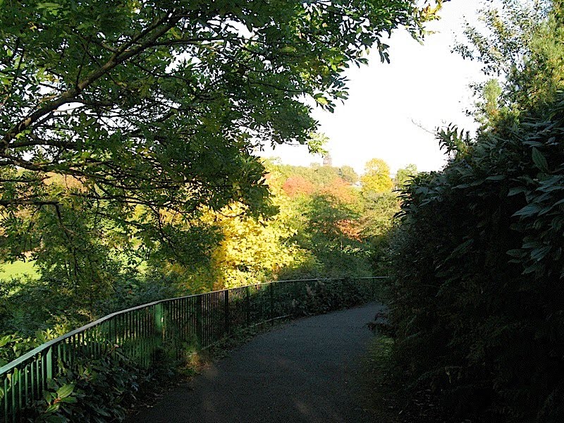 A Glasgow Album: Ruchill Park