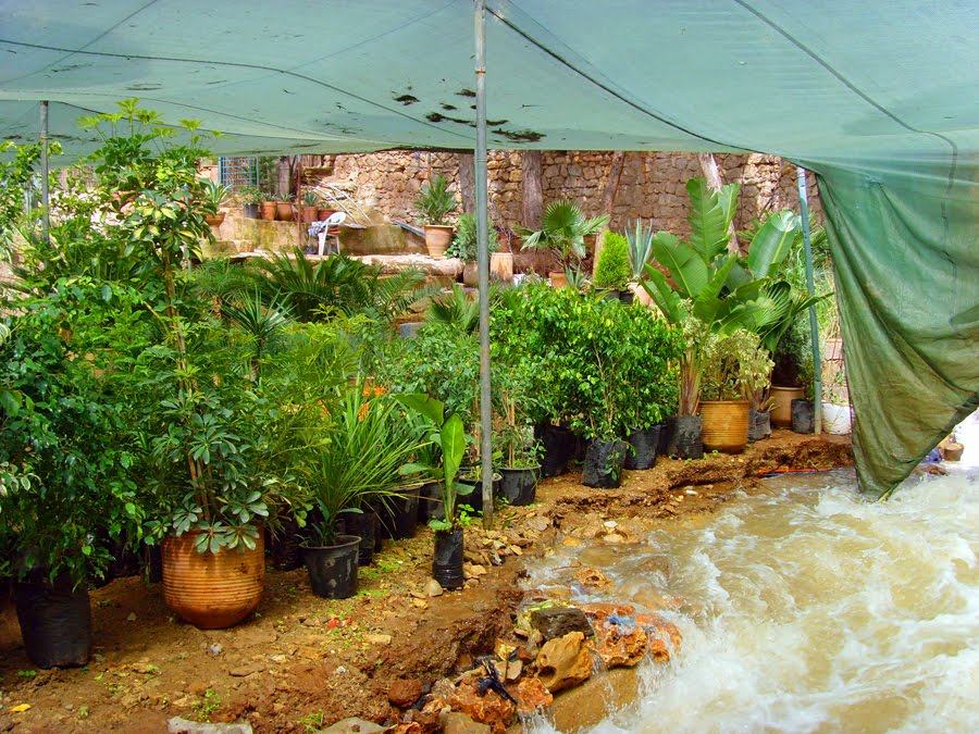 THE VIEW FROM FEZ: March 2010