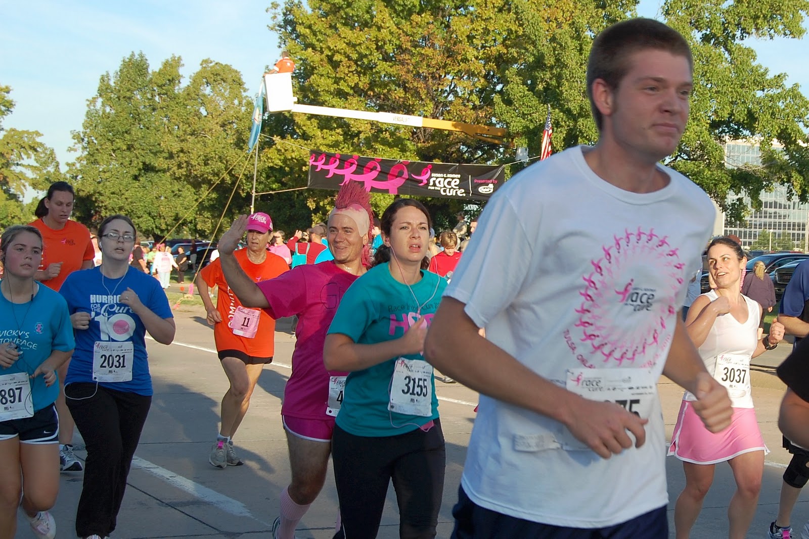 Posh Pooch Designs : Race for the Cure - Breast Cancer Awareness