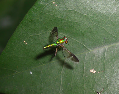 Photography & Me: Zoomed In and Cropped