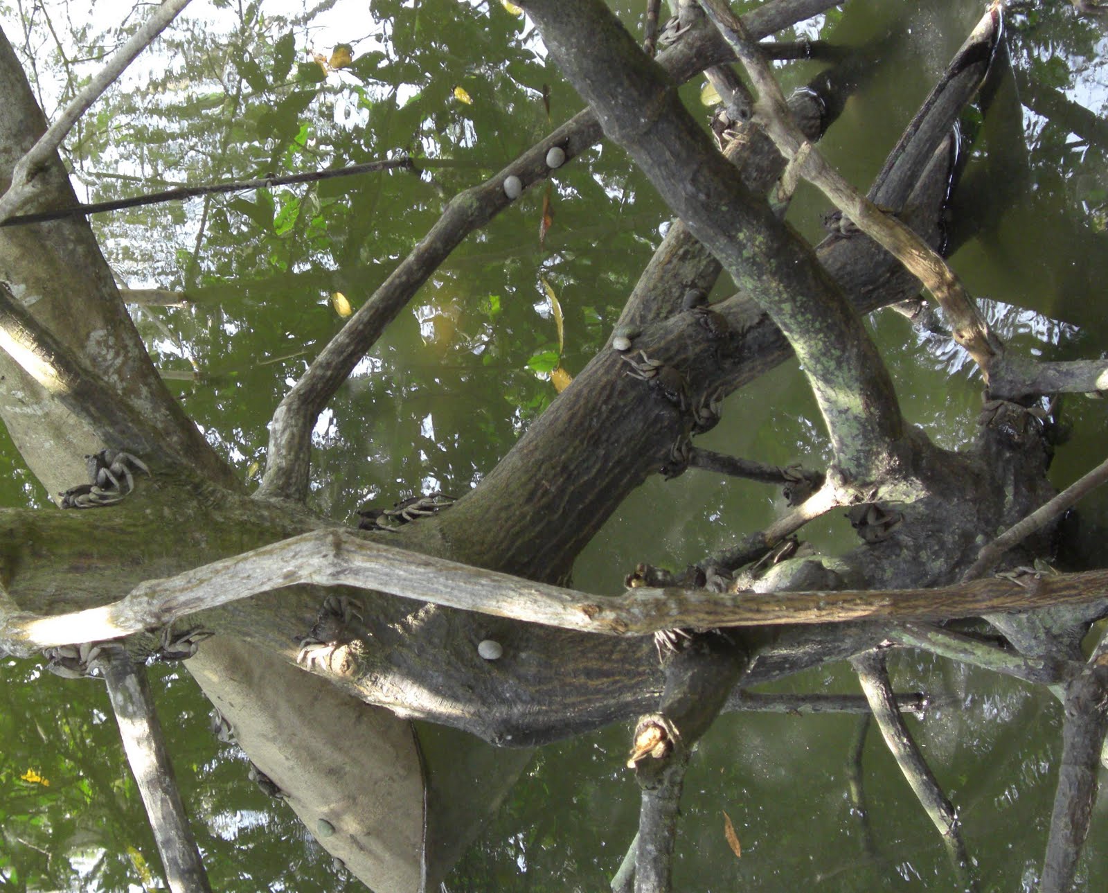 Photography & Me: When The Tide Goes Up