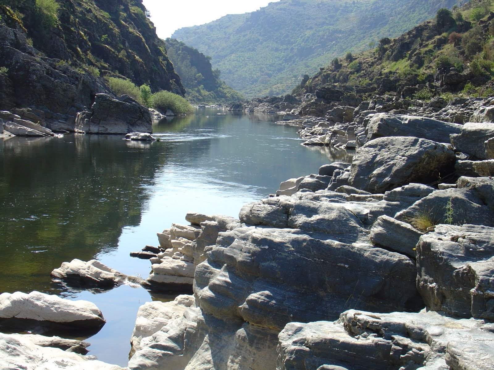 nortadas: Rio Sabor, candidato a ex-maravilha