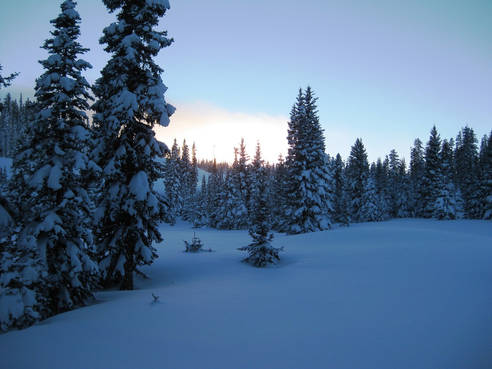 High Desert Dirt: Cross Country Skiing - Cumbres Pass, CO