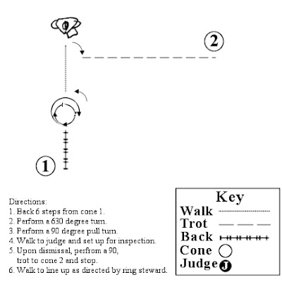 Showmanship Patterns: Pattern 15, Advanced
