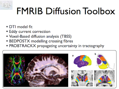 Lectures on DTI Basics and Analysis | Diffusion Imaging; Introduction ...
