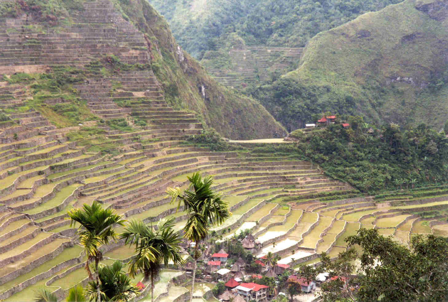 Dr. John's Wishful Thinking: The Condition of the Philippine Environment