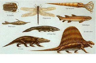 Tentang Binatang: Filosofi Hewan