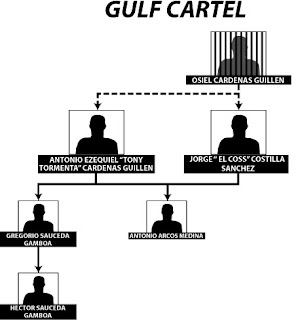 Mexican Drug Cartels
