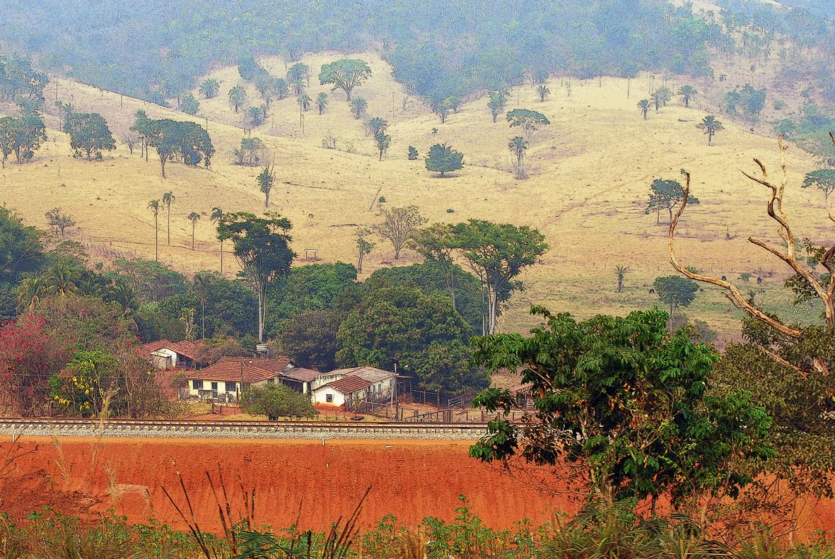 PhotoConversa: Paisagens no Cerrado (I)