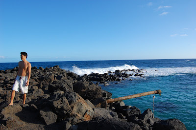 Superblog: Alan Davis