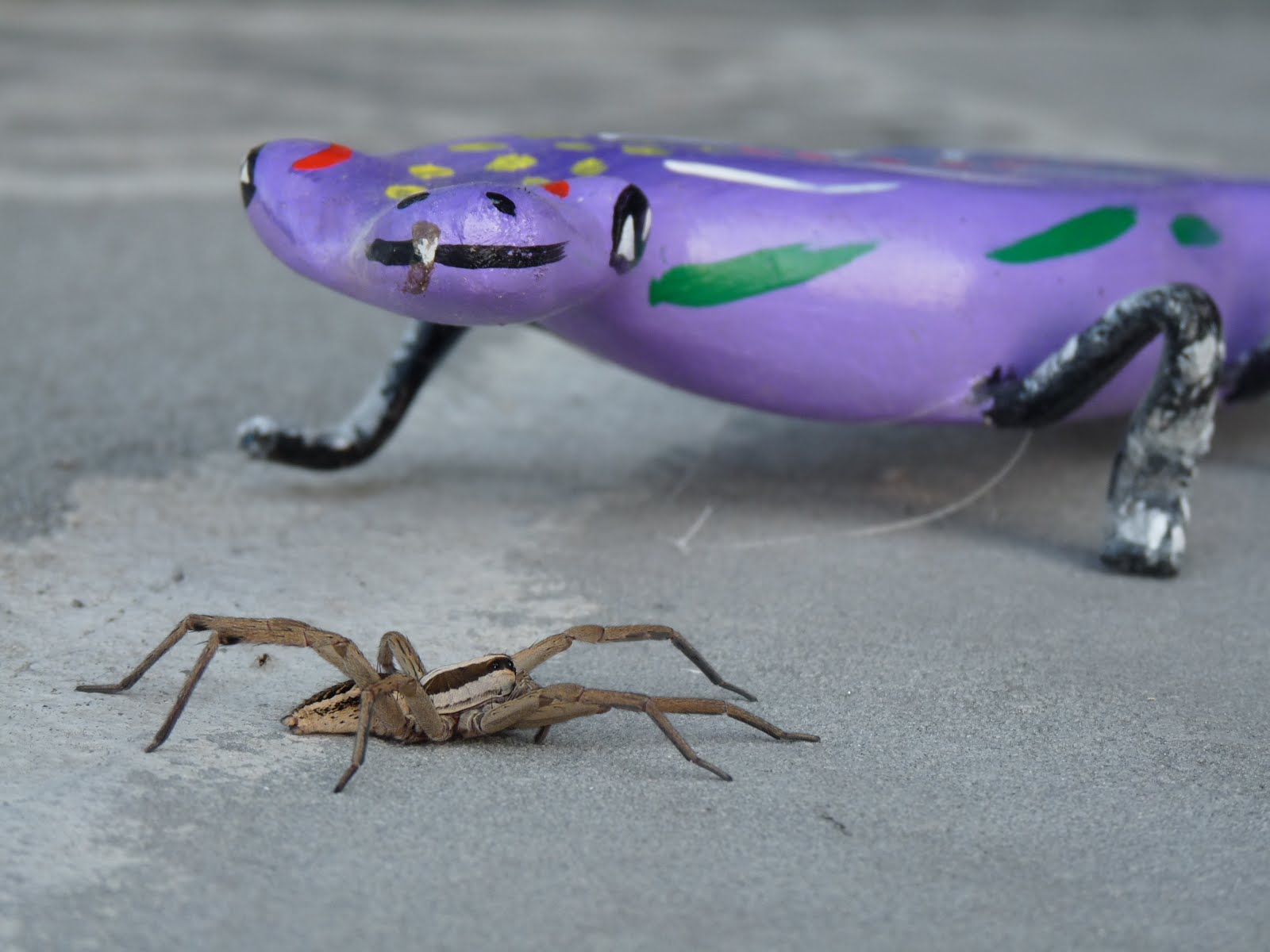 Contemplating Nature: Overcoming a Fear, Relearning Greek Mythology ...